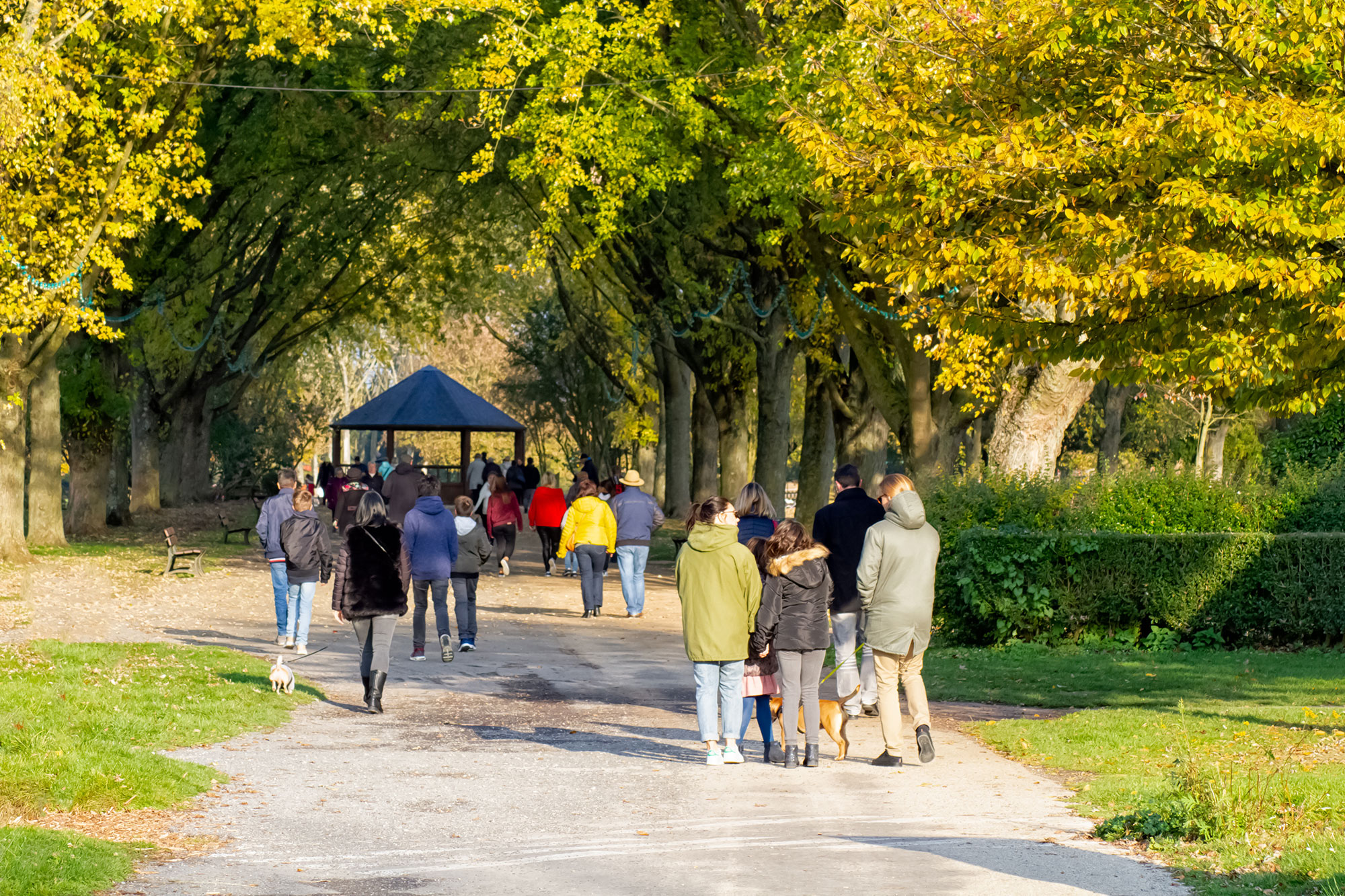National Take a Walk in the Park Day - Premier Closing Services LLC
